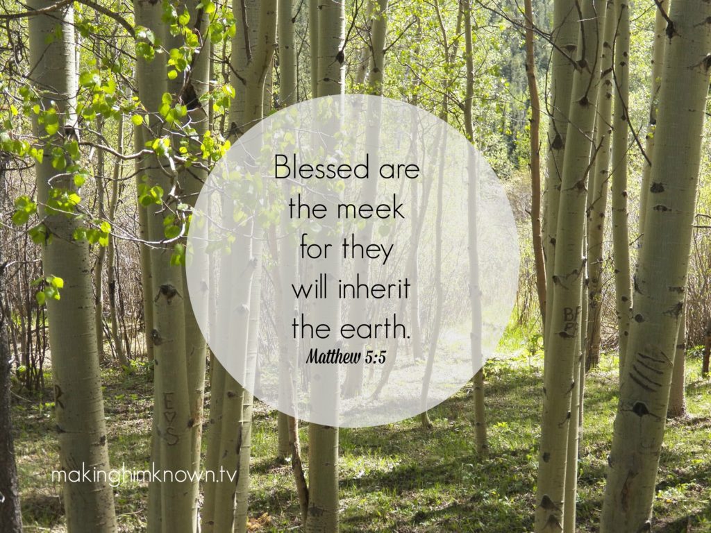 The Beatitudes: 5 Ways to Be Meek Not Weak - Making Him Known
