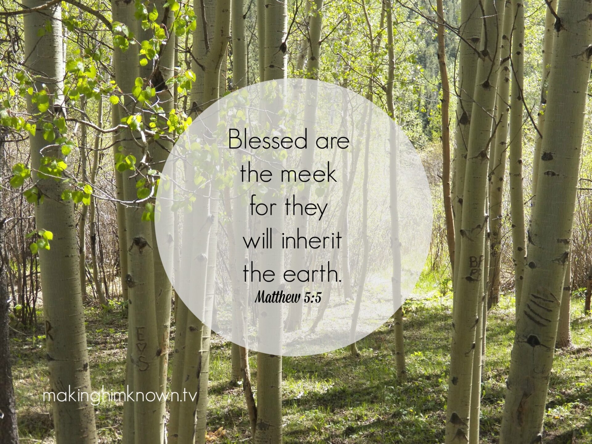 The Beatitudes: 5 Ways to Be Meek Not Weak - Making Him Known