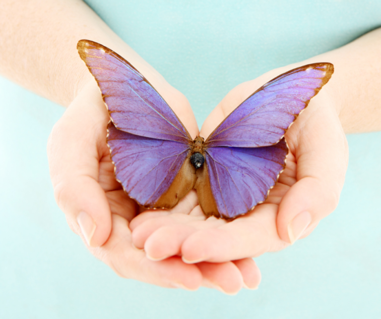 The Beatitudes: 5 Ways to Be Meek Not Weak - Making Him Known